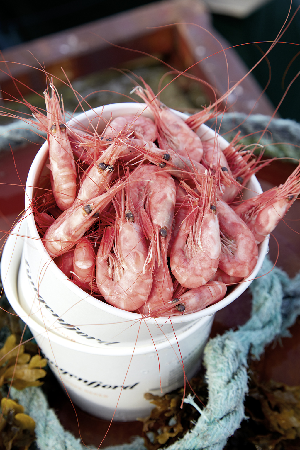 Lyngenreker - Reker rett fra Lyngenfjorden | Norge | Visit Lyngenfjord ...