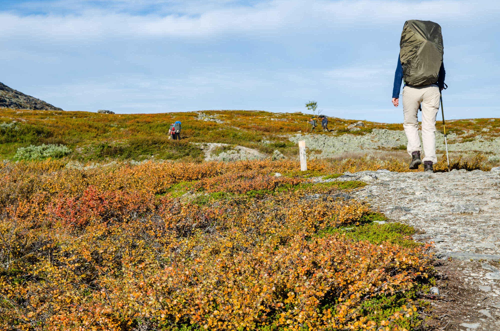 Multiday trek to Halti | Norway | Visit Lyngenfjord | Visit Lyngenfjord